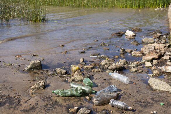 Manicaland call for action as Sakubva River drowns in pollution ...